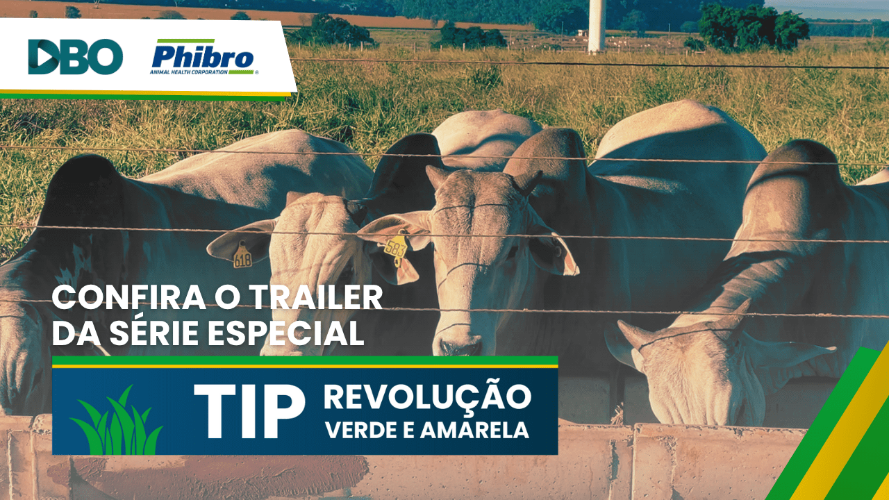 DBO lança série especial sobre a TIP no Brasil • Portal DBO