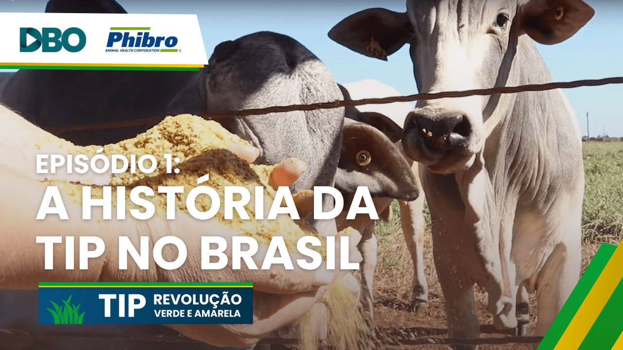 A história da TIP no Brasil é tema do primeiro episódio da série "TIP ...