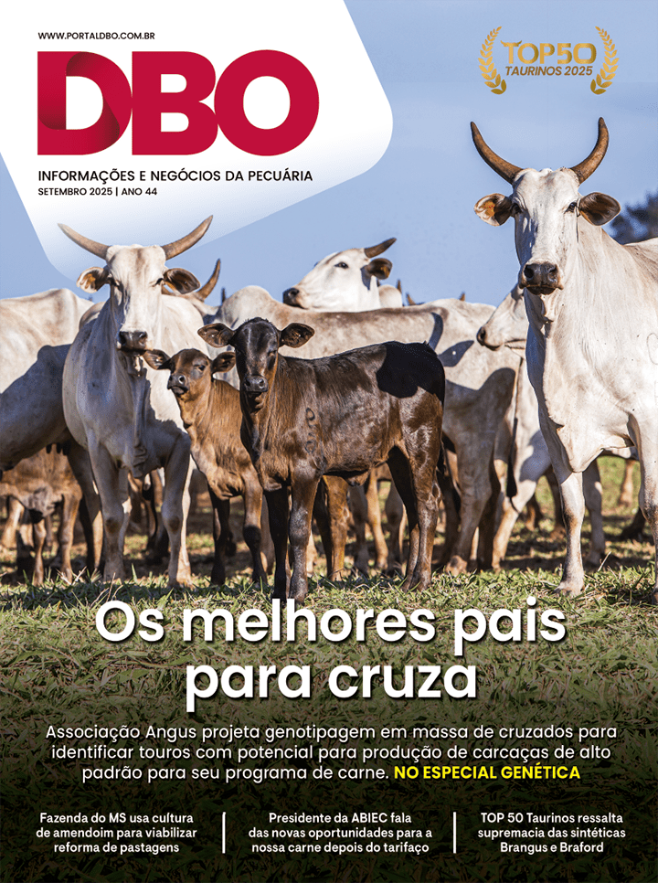 Revista DBO – Edição 535 – Setembro 2025 • Portal DBO